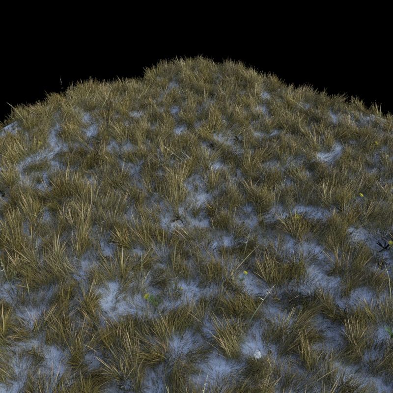 Houdini: Grass